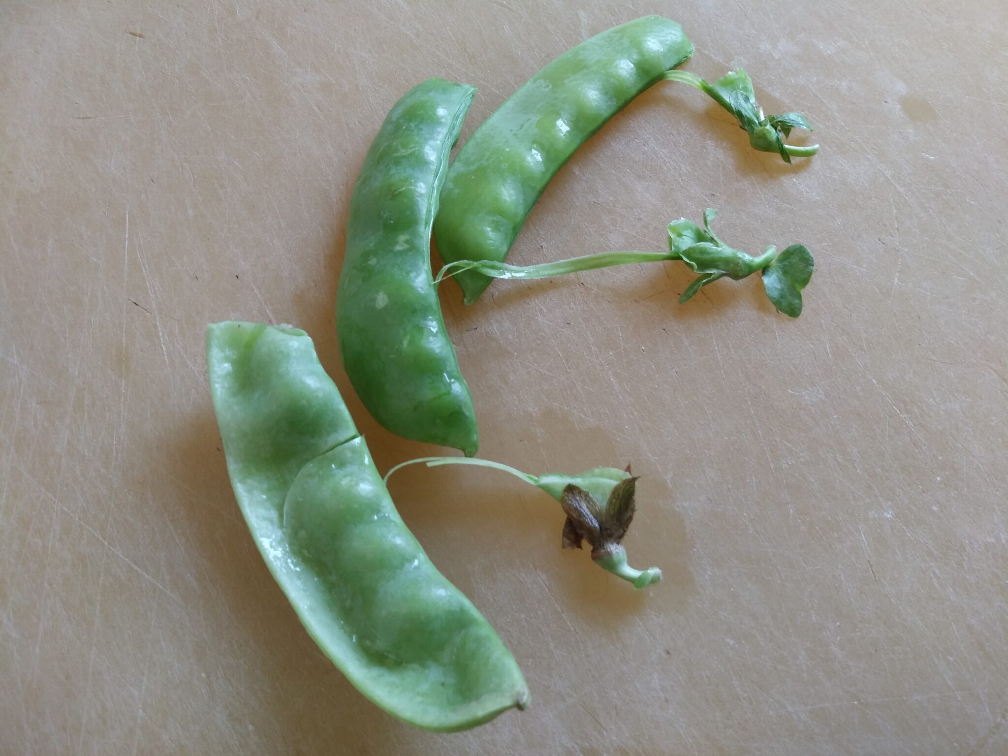 Recipe: Green and Gold Summer Vegetables with 4 Easy Techniques to Bump ...